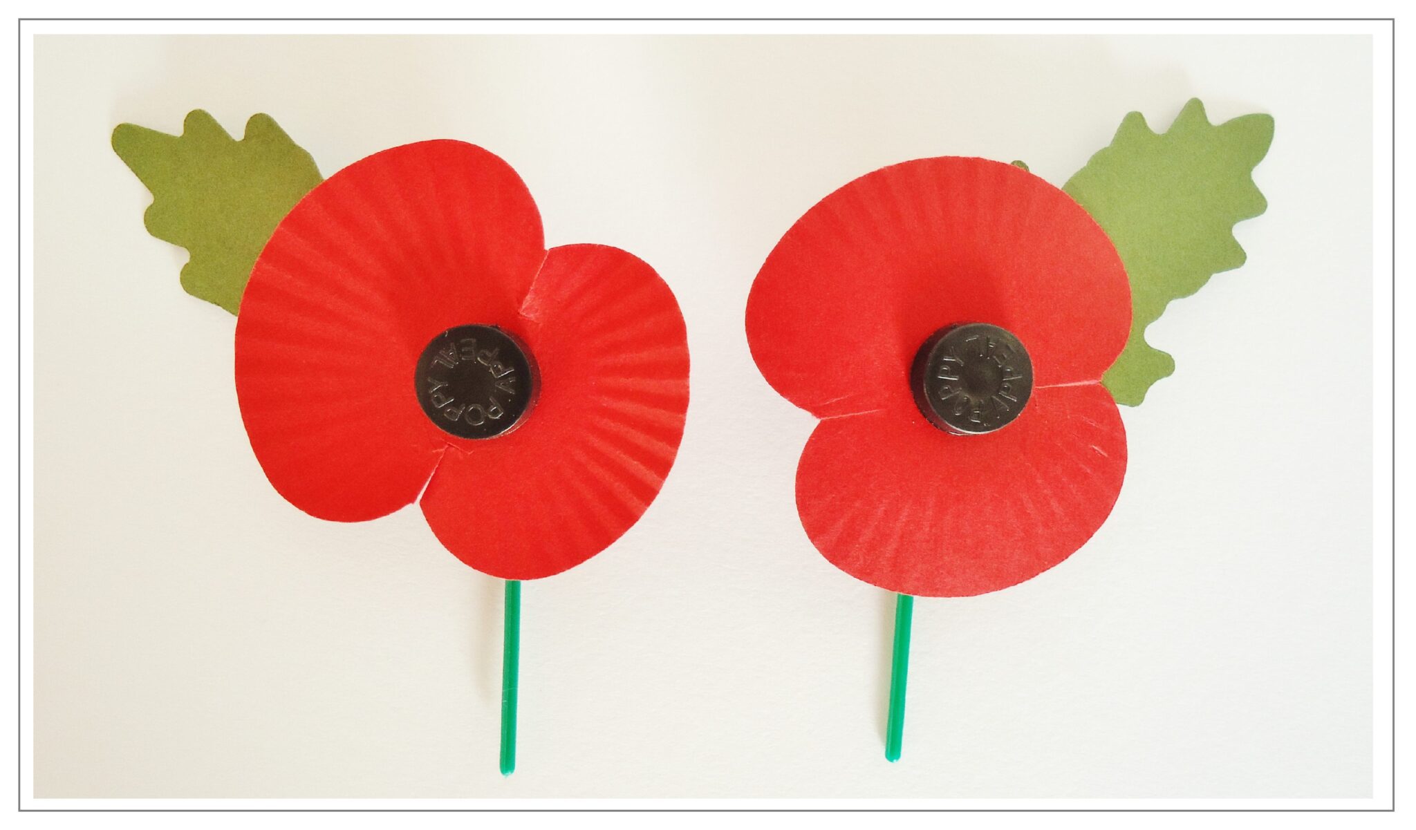 Remembrance Poppy: Keep the Memory Alive