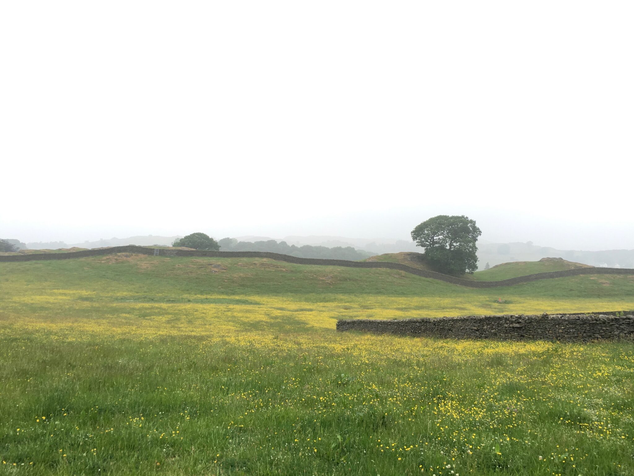 Crook Hall Farm: A Historic Farmhouse in Cumbria, England